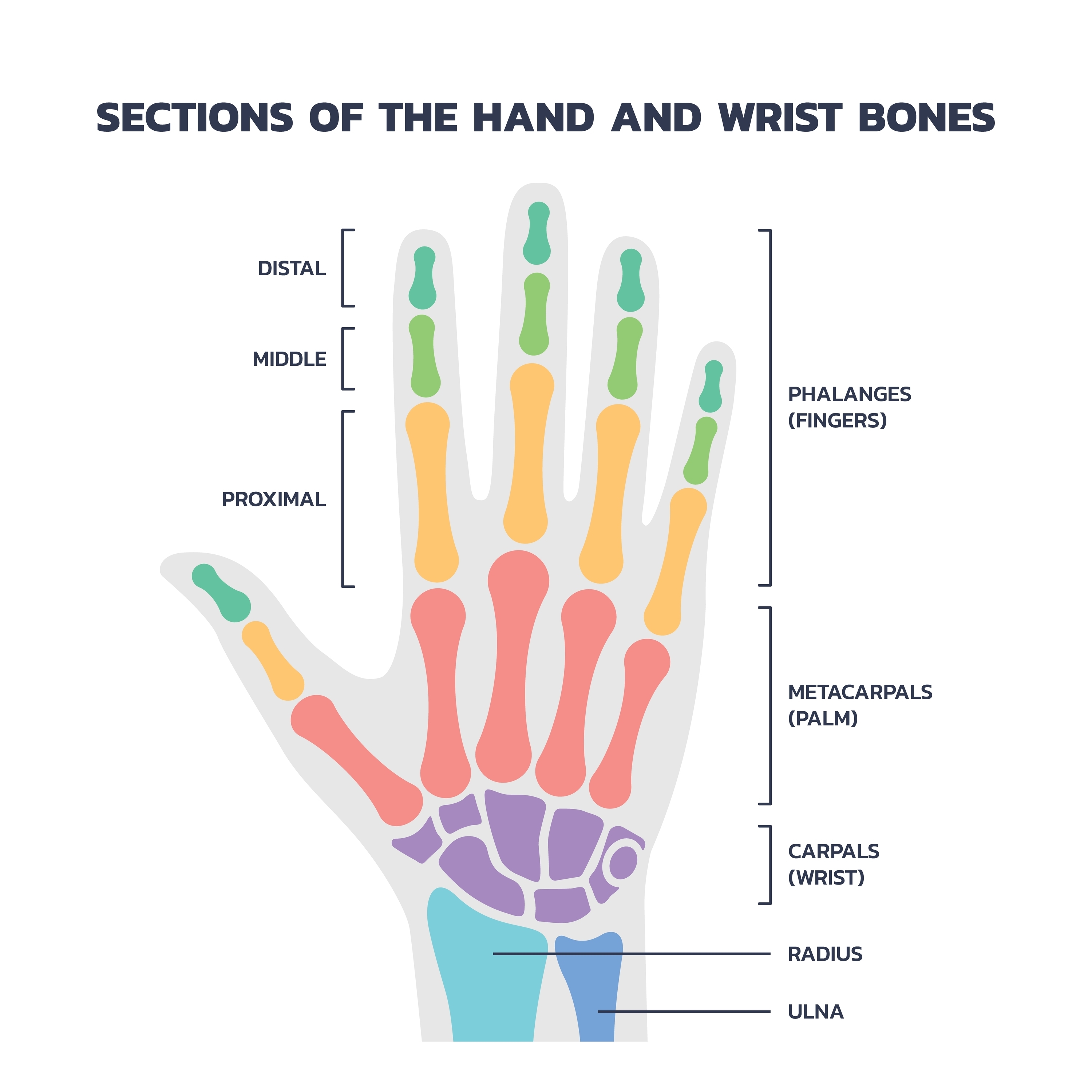MailExpress | preview html