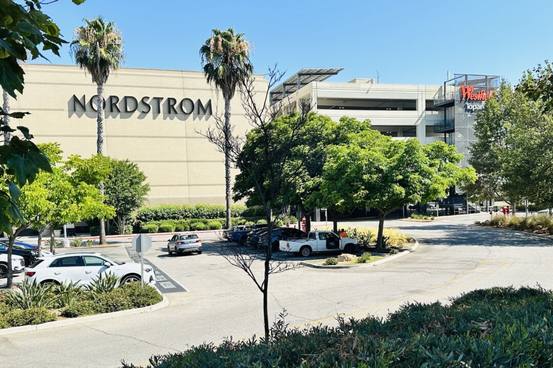 Police Nab 6 Suspects in Flash-Mob Robbery at LA County Mall; 6 Still ...