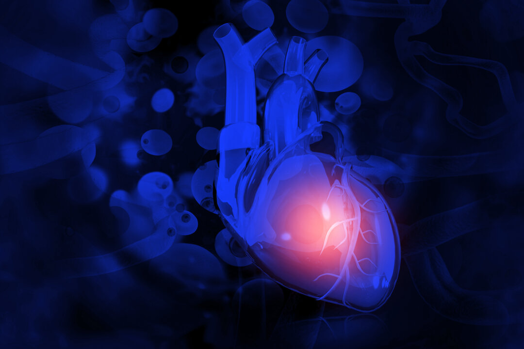 Doctors Reveal a ‘Main Culprit’ for Heart Disease | The Epoch Times