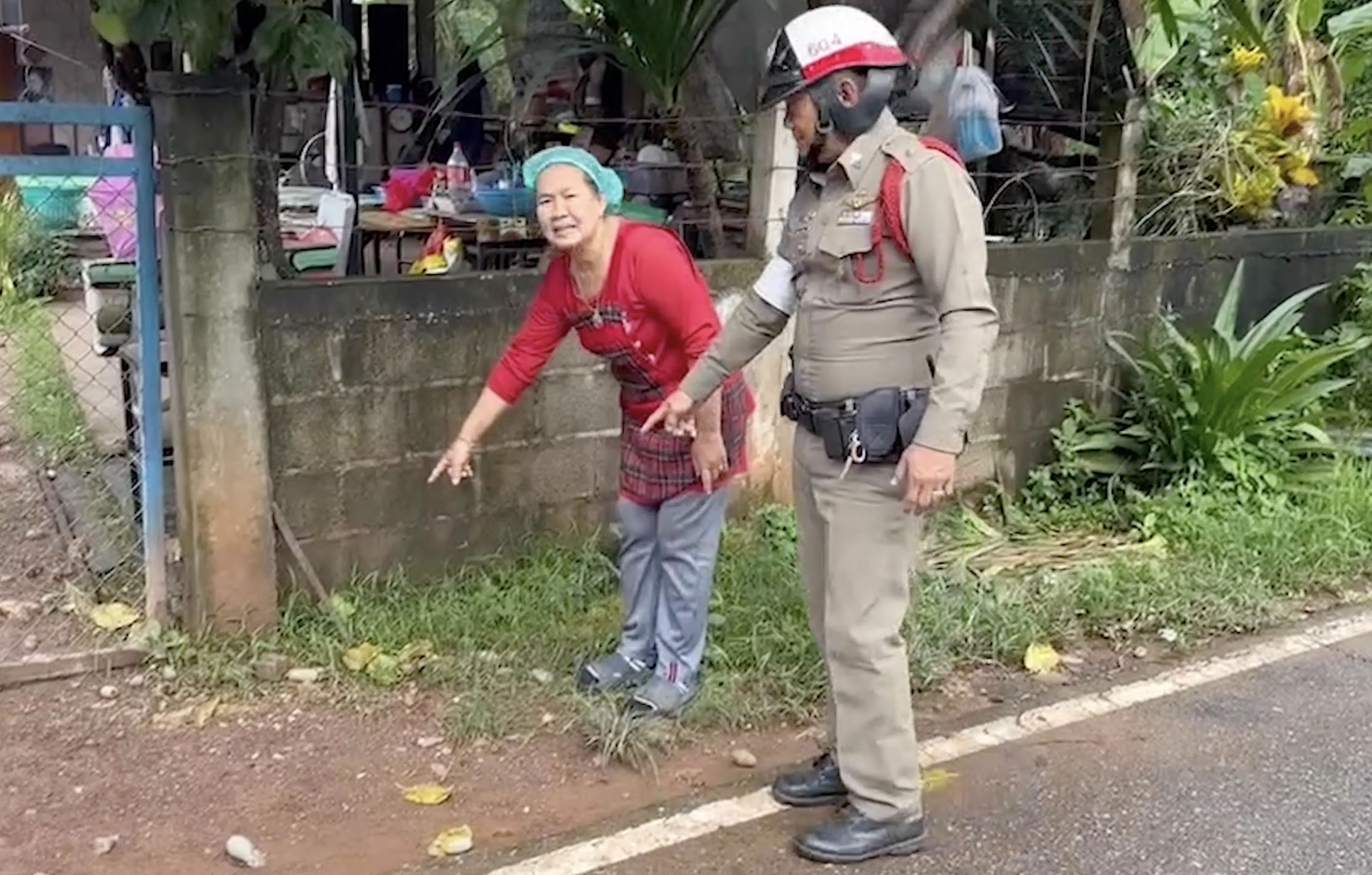 The Barking Lot – America’s Finest Dog Blog (08/26/2023) | This Just In ...