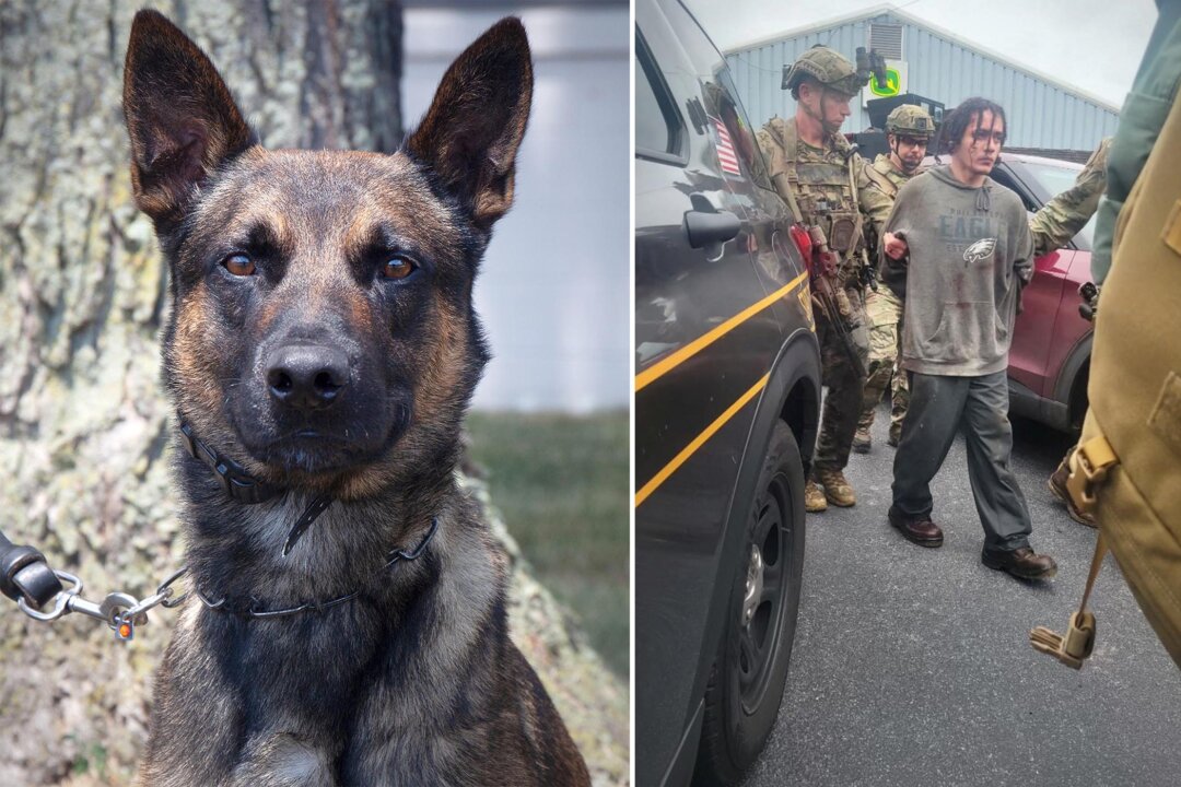 Police K9 Helps Takes Down Fugitive Murderer in the Woods After 14-day ...