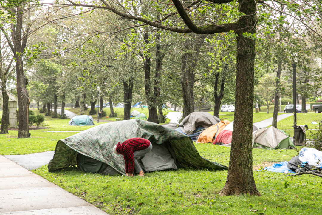 ANALYSIS: Green Light for Homeless Camps in Hamilton’s Parks Signals ...