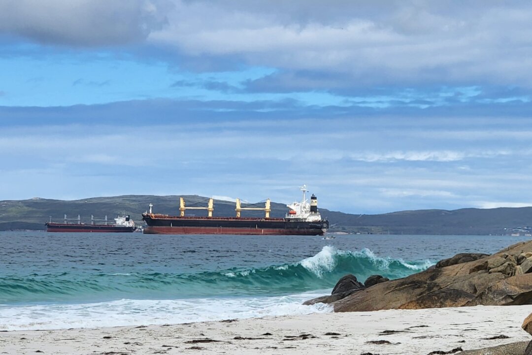 Stranded 30-tonne Sperm Whale Dies at Western Australia Beach | The ...