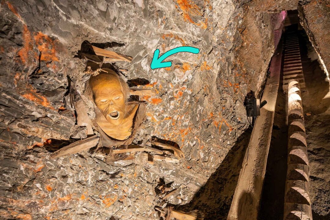 Mummified ‘Man in Salt’ Lay Buried for Millennia in Austria’s Magical ...