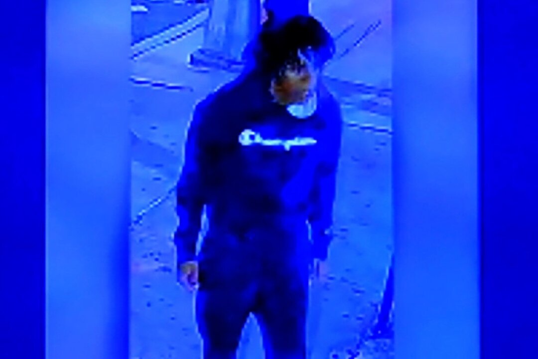 Leftist Policies to Blame for NYC Activist Ryan Carson’s Murder, Says ...