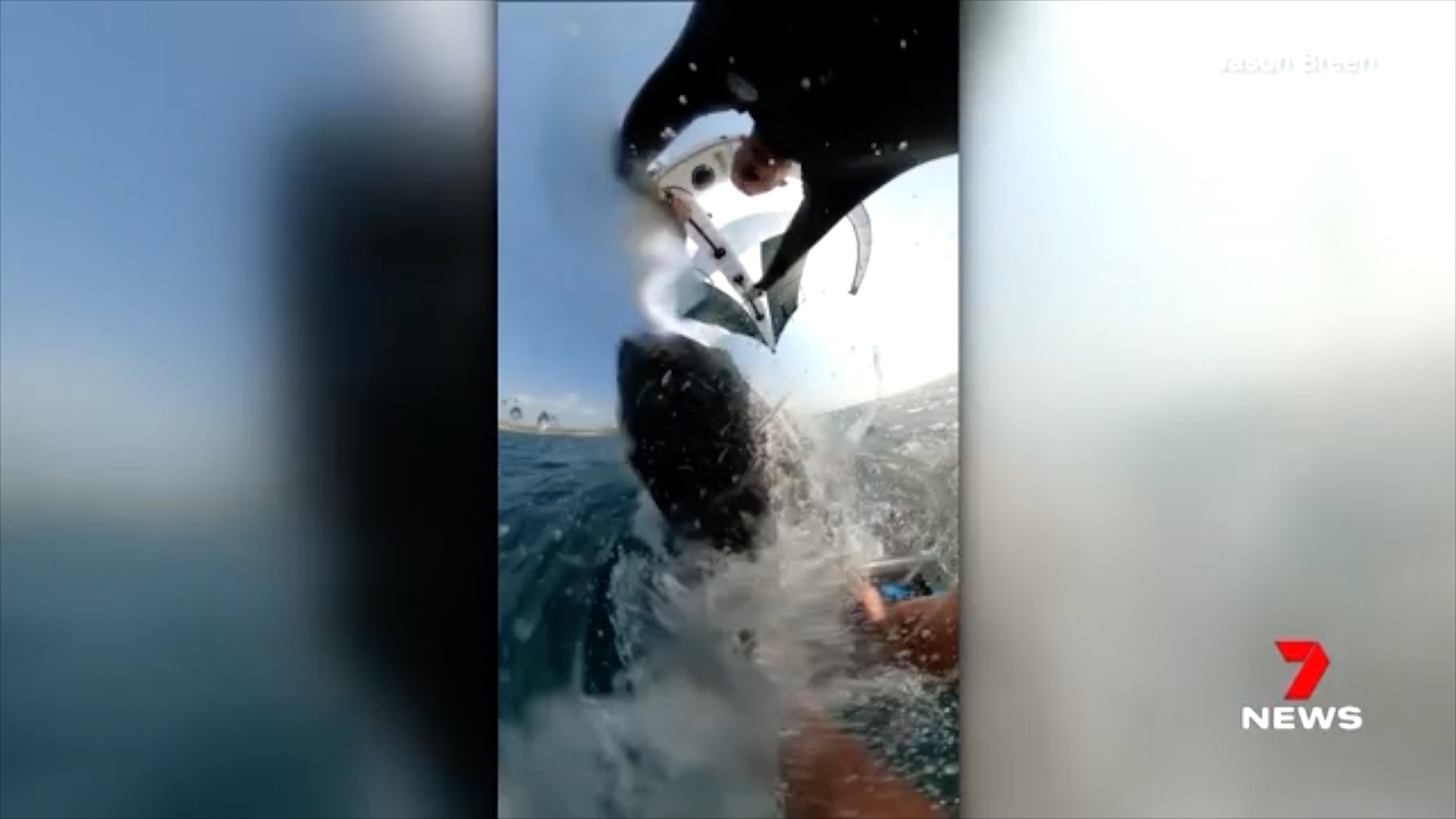 Caught on Camera: Australian Windsurfer Hit by Airborne Whale | EpochTV