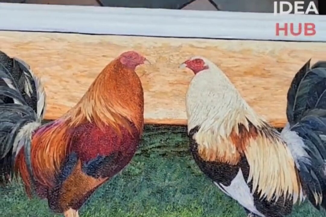 Straw Art Animals | EpochTV