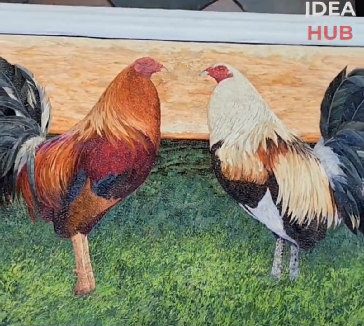 Straw Art Animals | EpochTV