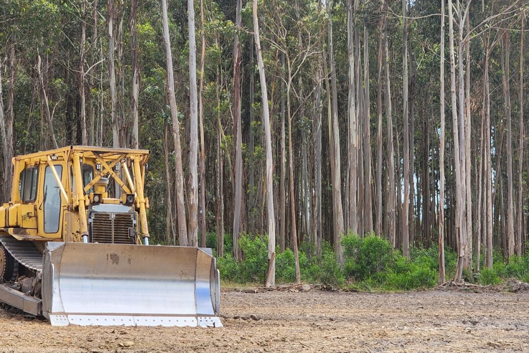 Alcoa Mine Clearing to Supply Scarce Western Australia’s Hardwood ...