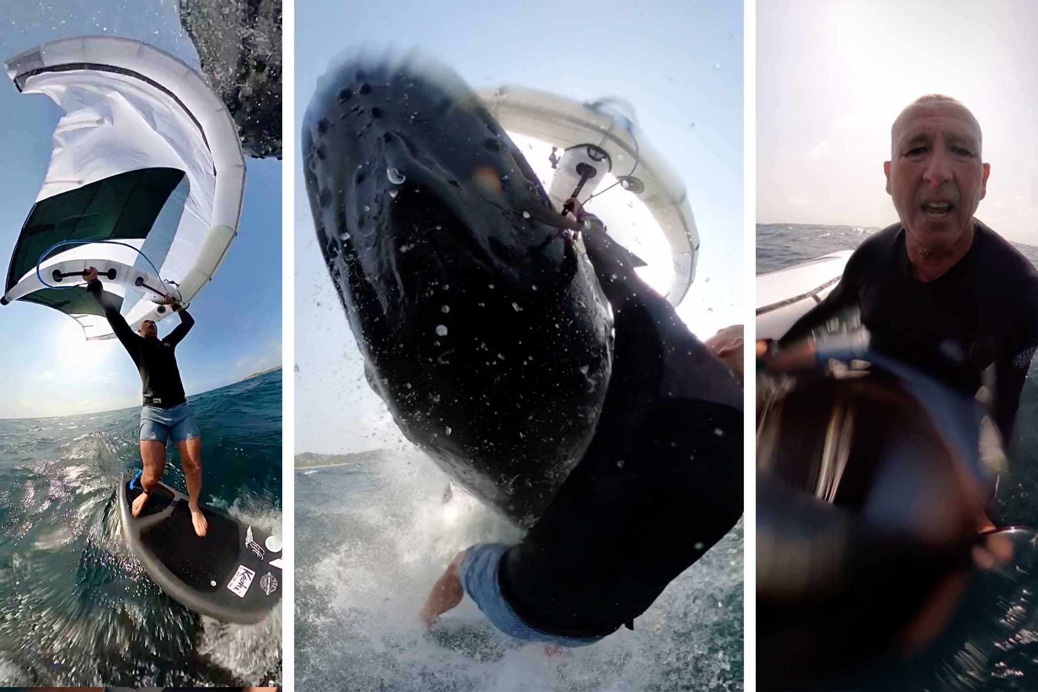 Surfer Captures Ultra-Rare Moment He Collides With Breaching Whale—And ...