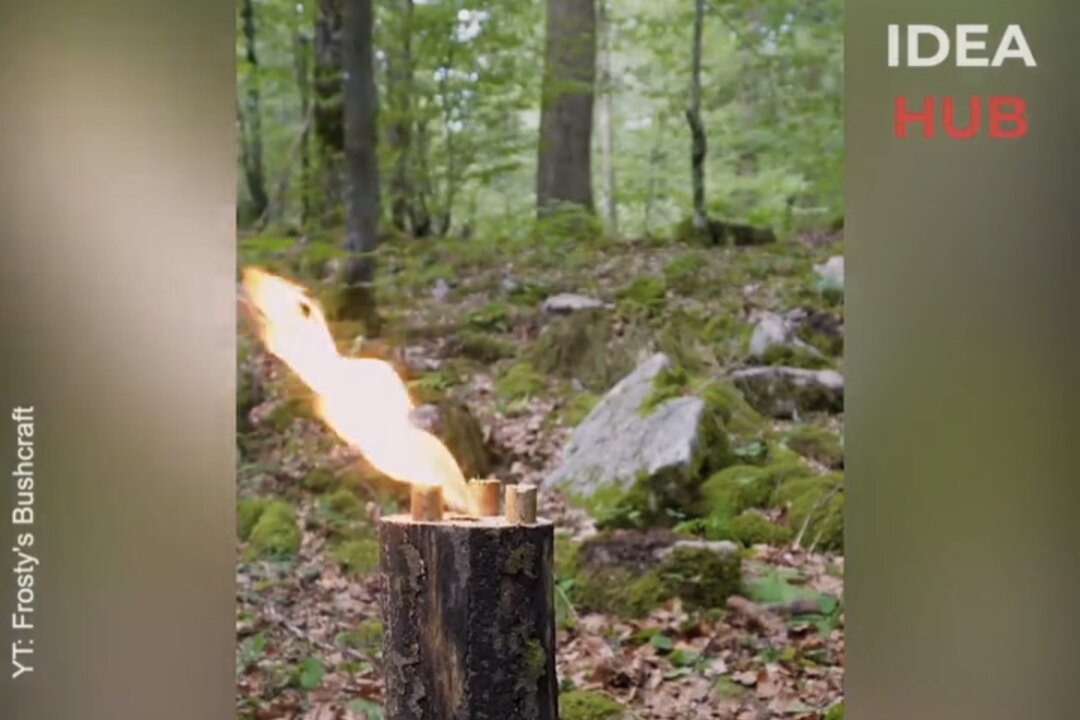 Making a Wood ROCKET Stove From a DRY Stump in 60 Seconds! | EpochTV