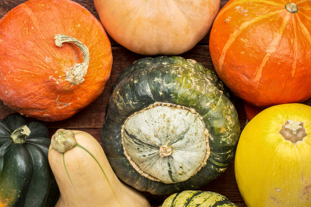 3 Squash Recipes That Make the Most of the Fall Fruit | The Epoch Times