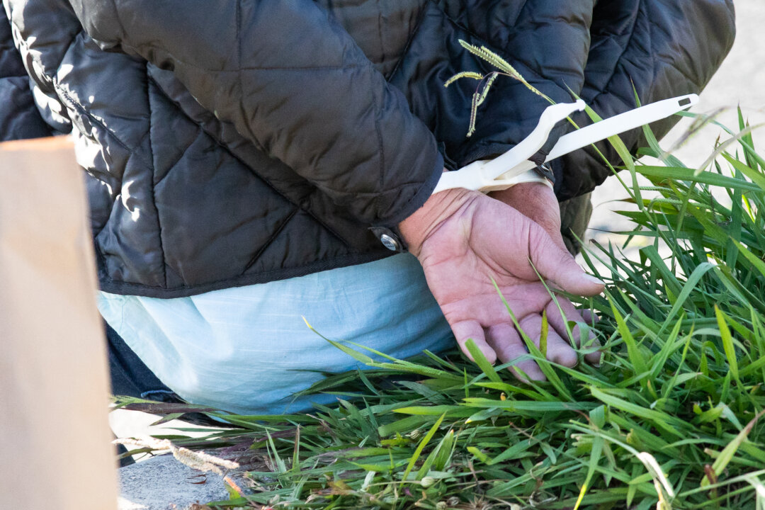 6 Suspects Arrested In Prostitution Sting In South Los Angeles The