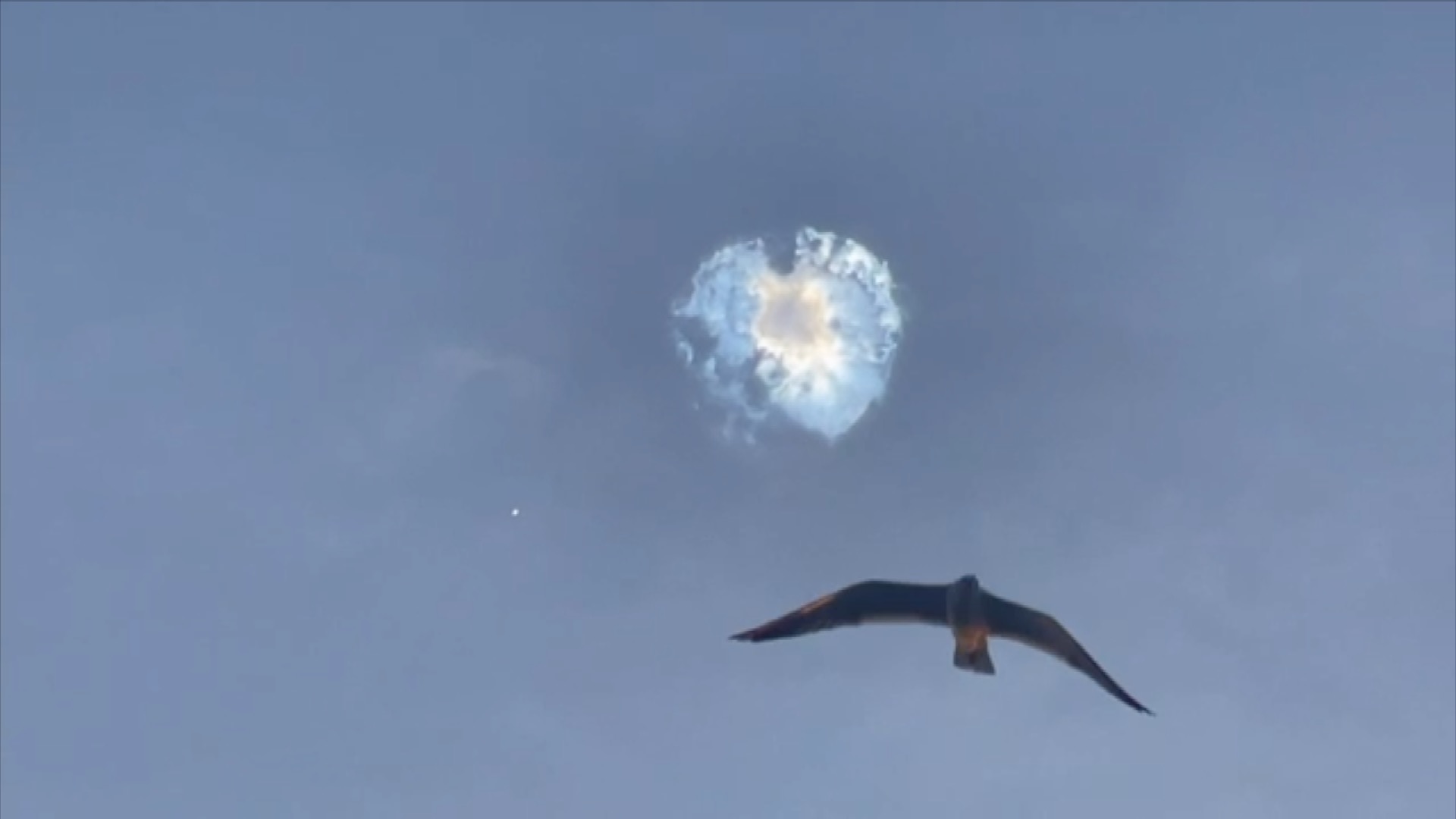 Video: Starship Rocket’s Separation, Explosion in 2nd Test Flight | EpochTV