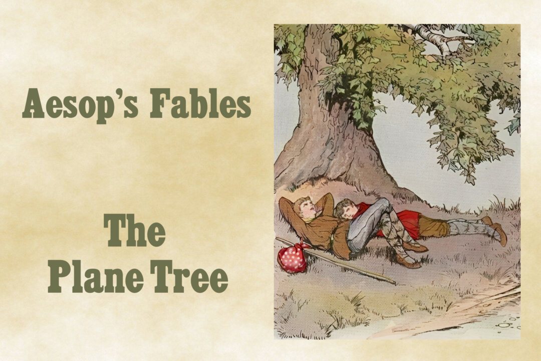 Aesop’s Fables: Our Best Blessings Are Often the Least Appreciated ...