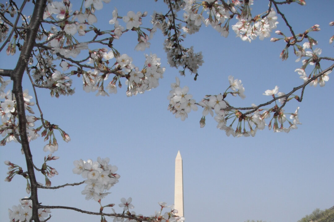 Washington Monuments: Honoring the Father of This Country | The Epoch Times