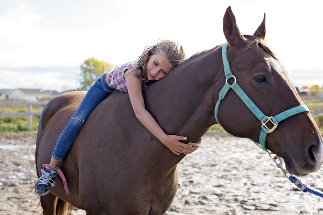 Nature Therapy Including Art and Horses Show Promise for Autistic ...
