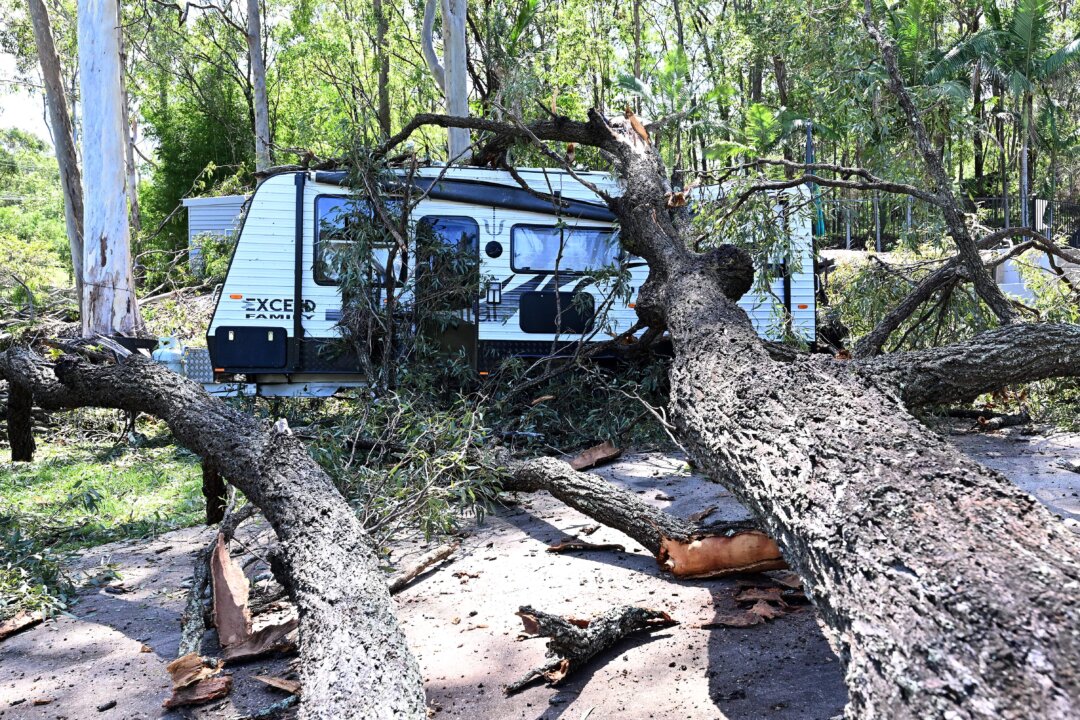Woman Killed by Falling Tree as Storms Lash Queensland | The Epoch Times