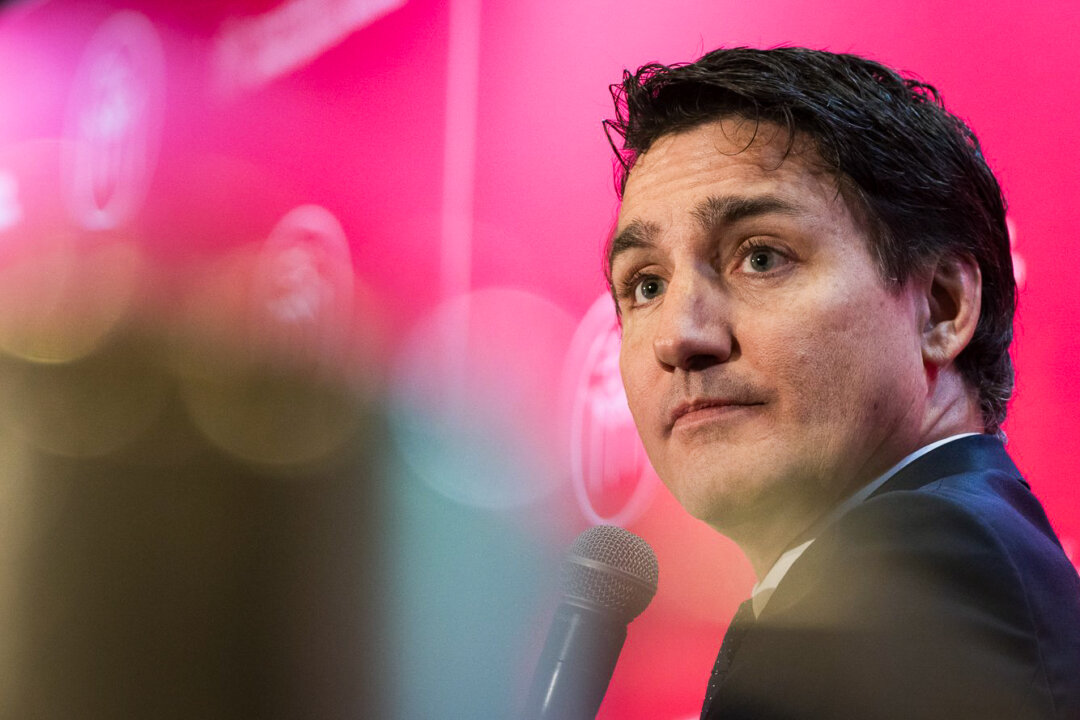 Newfoundland Liberal MP Says Party Should Consider Leadership Review of ...