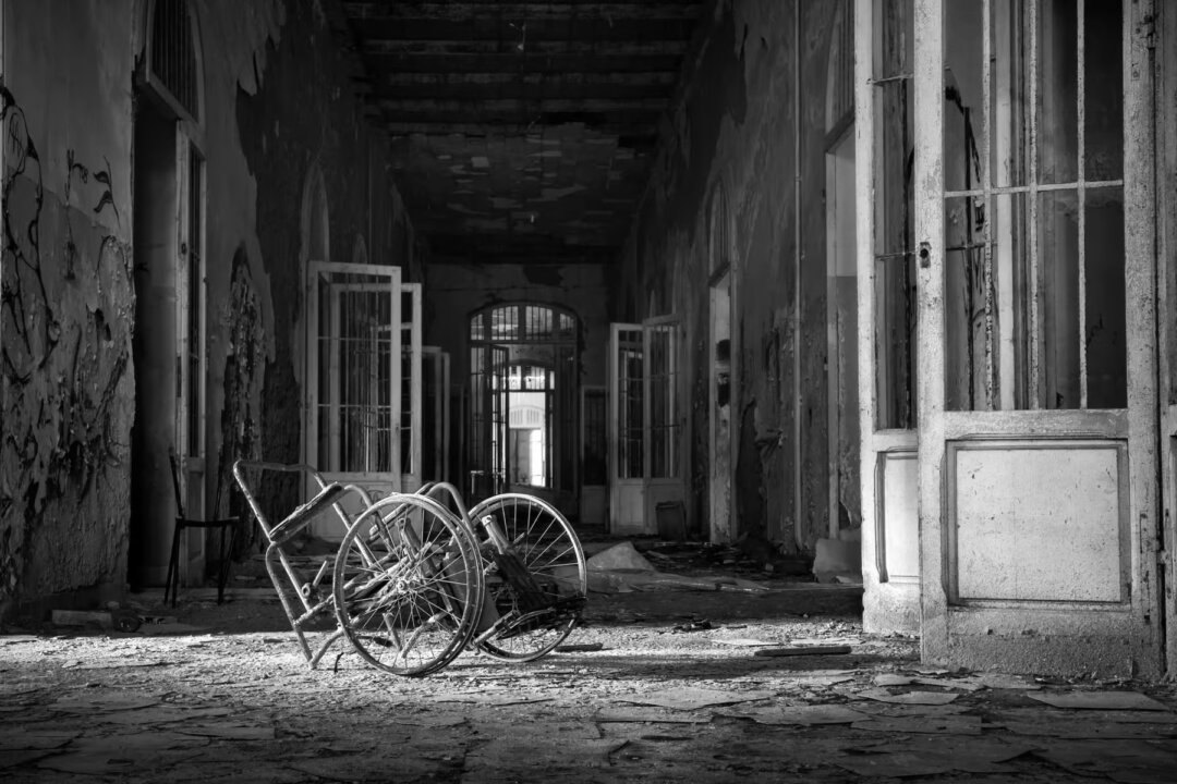 The Case Of Typhoid Mary The Epoch Times