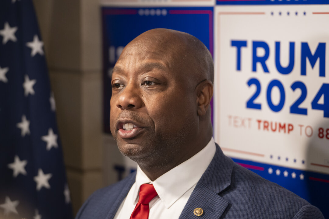 Next Senate Republican Leader Must Work Hand in Glove With Trump: Sen ...