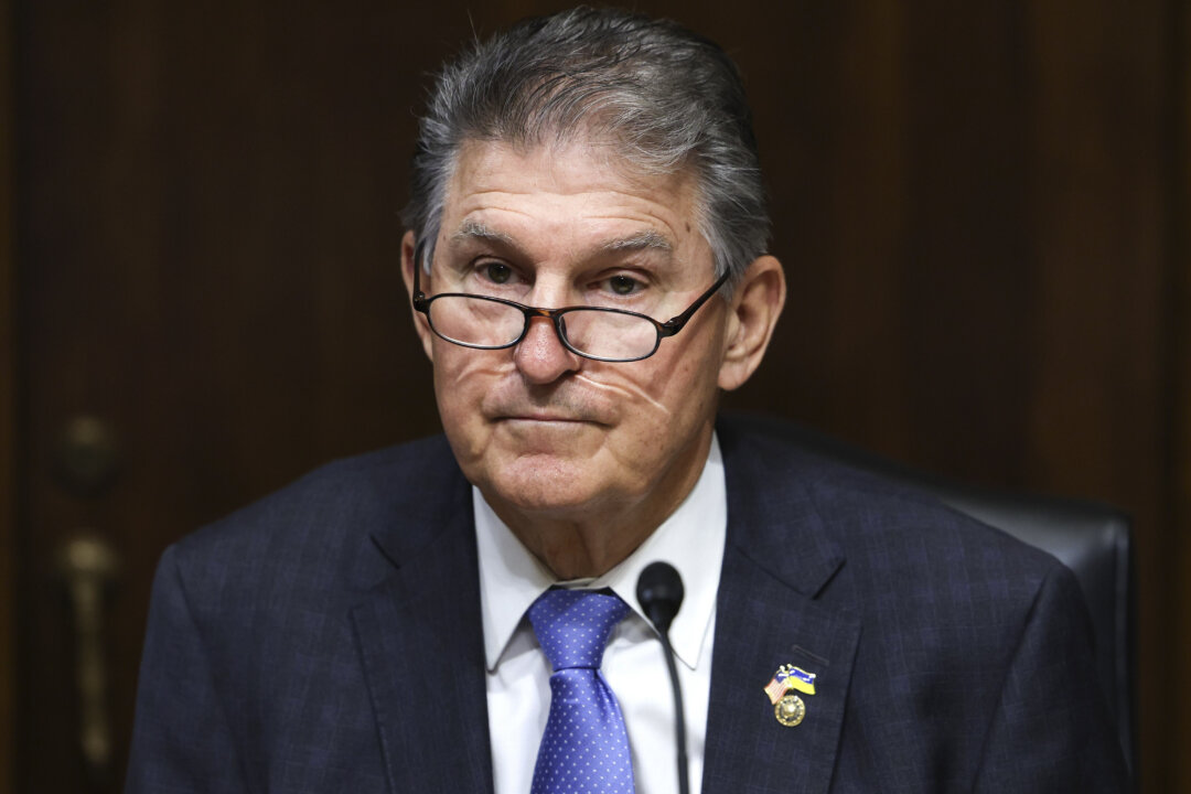 Climate Activist Accosts Joe Manchin at Harvard University, Gets Shoved ...