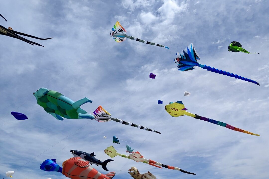 California Resident Brings Joy to the Community and Beyond With Giant ...