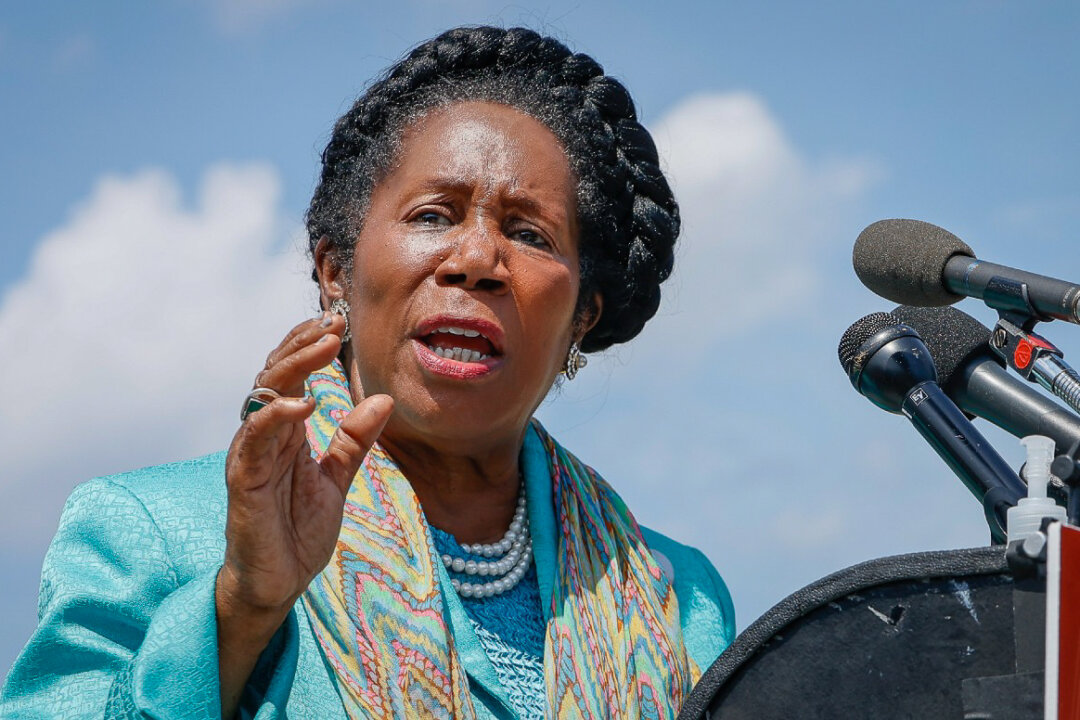 Rep. Sheila Jackson Lee Undergoing Treatment for Pancreatic Cancer ...