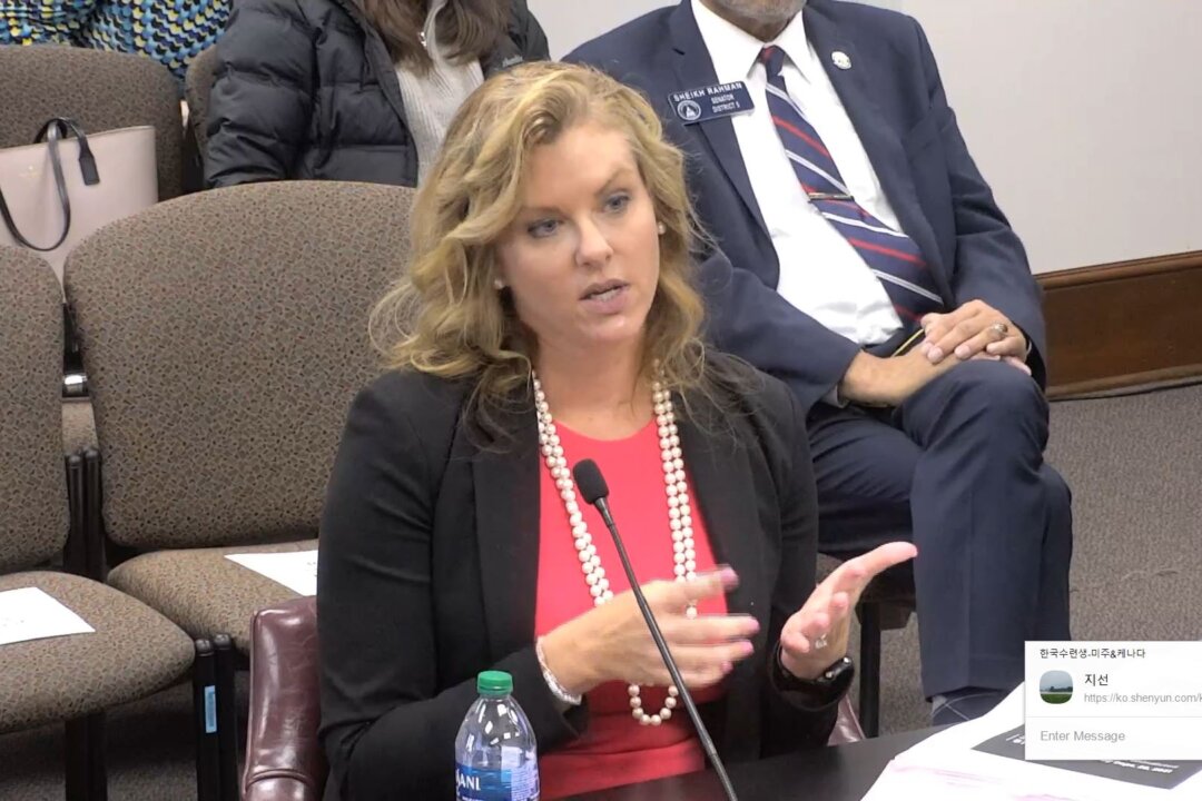 Georgia Attorney Testifies to State Senate Committee in Investigation ...