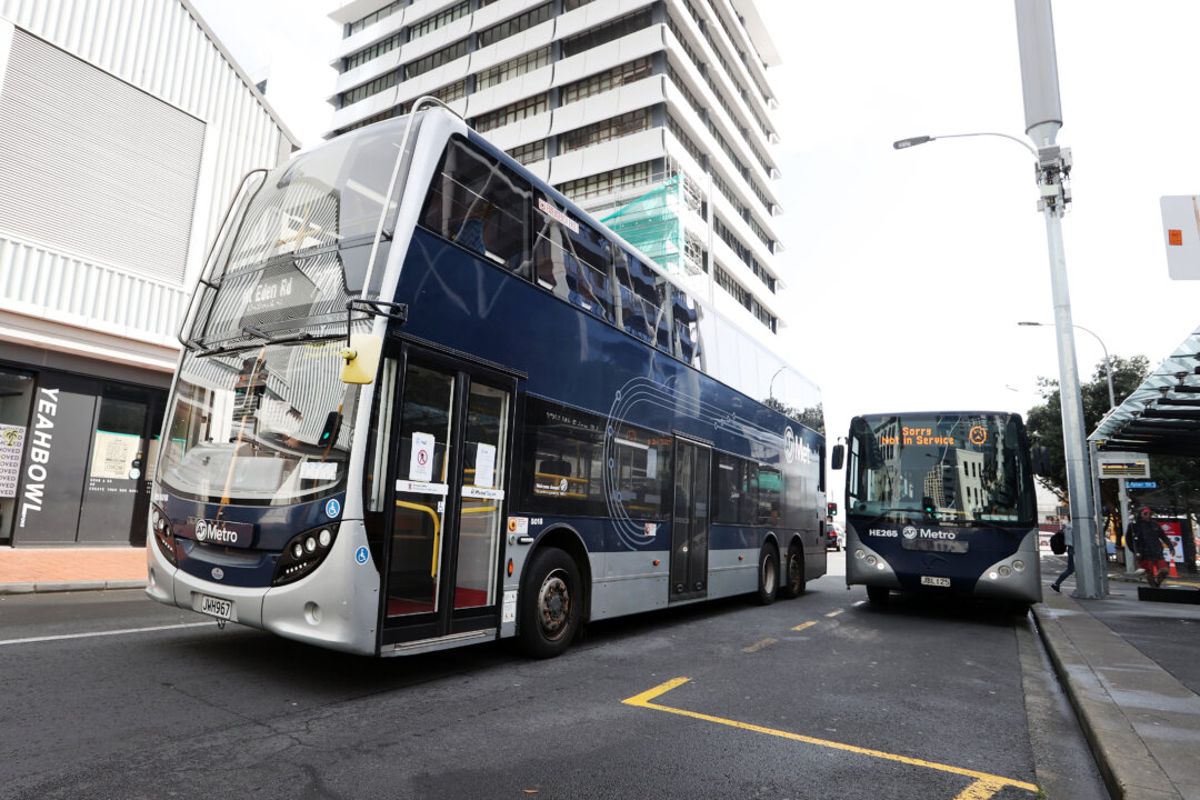 NZ Woman Charged After Toddler Found in Suitcase on Bus | The Epoch Times