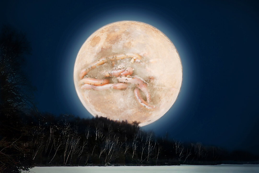 The First Full Moon of Spring Will Be the ‘Worm Moon’ With Eclipse—Here ...