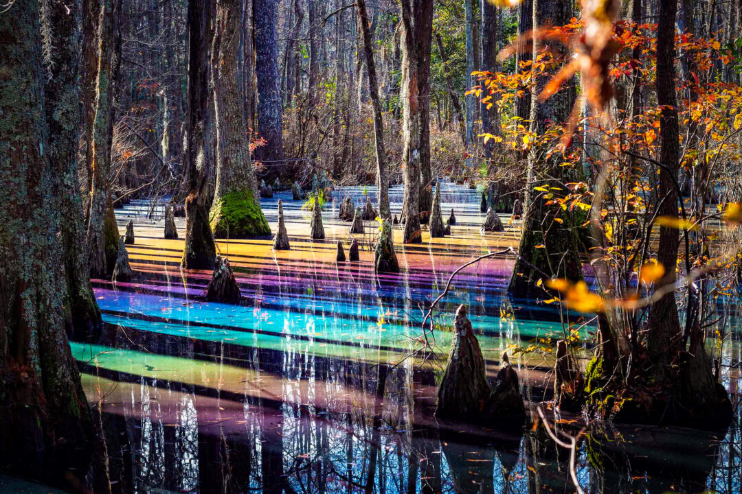 Stunningly Beautiful ‘Rainbow Pools’ in Virginia Are Totally Natural ...