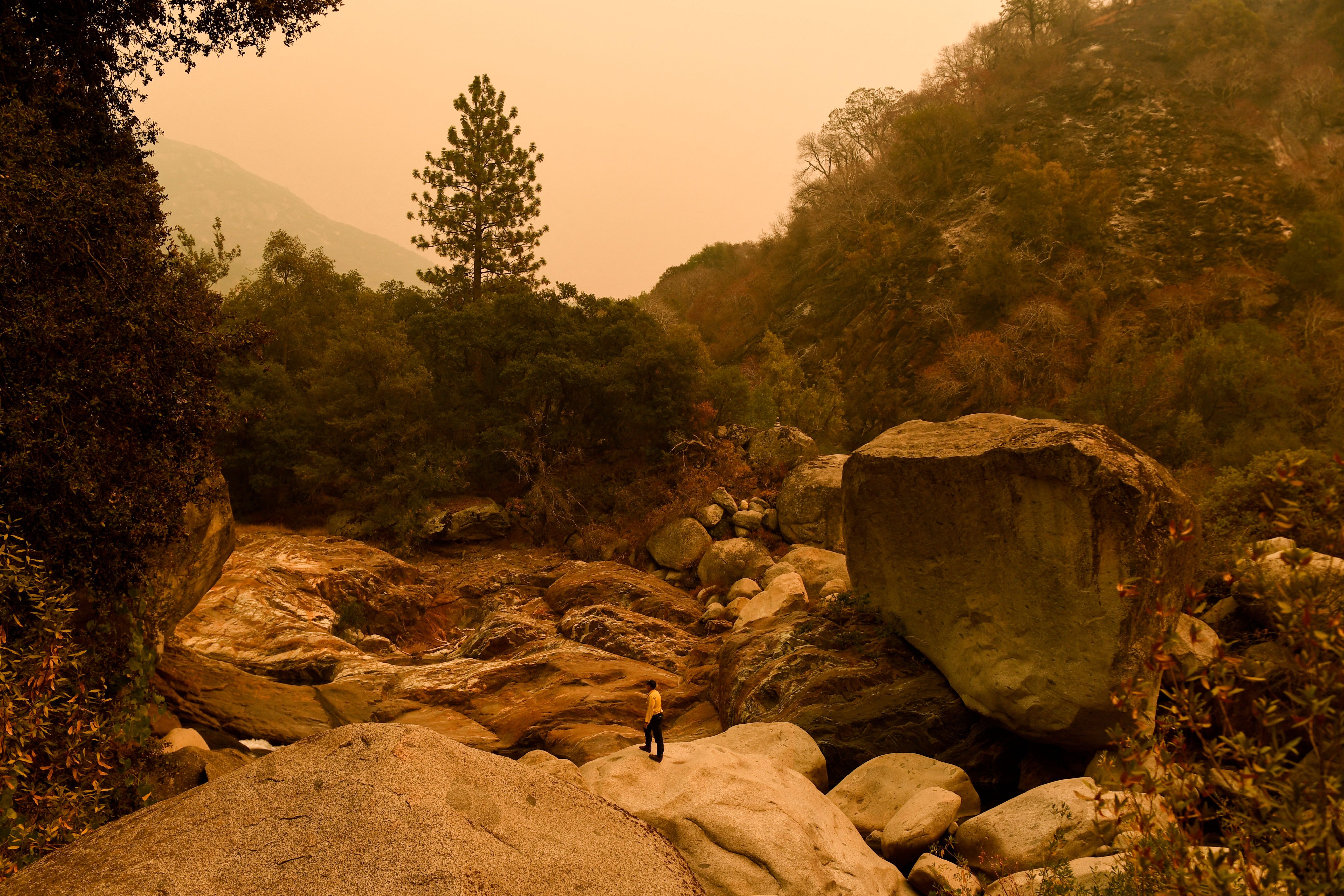 5 National Parks in California Most Polluted in US, Study Finds ...