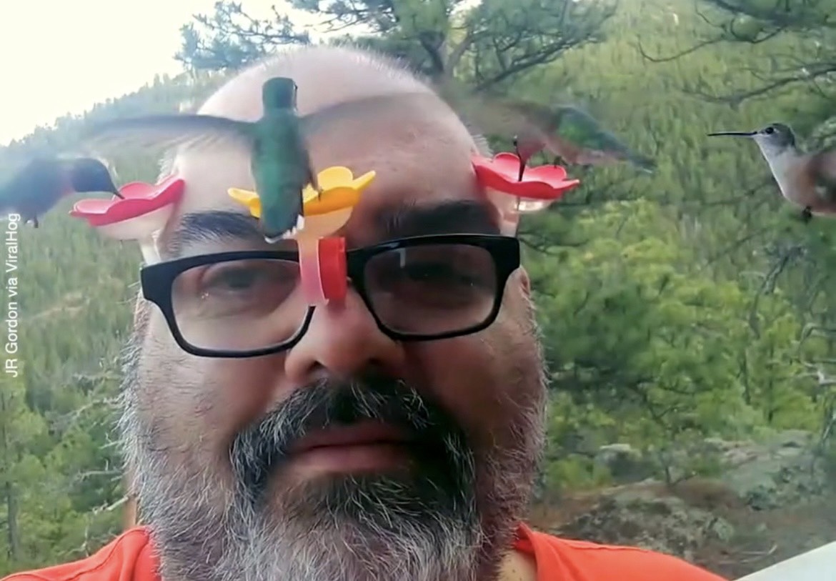 Hummingbird Whisperer | EpochTV