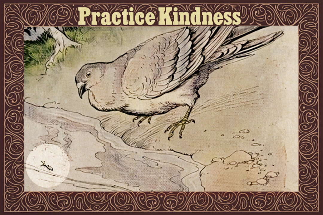 A Teeny-Weeny Ant Decides to Repay the Dove for Saving Its Life: Good ...