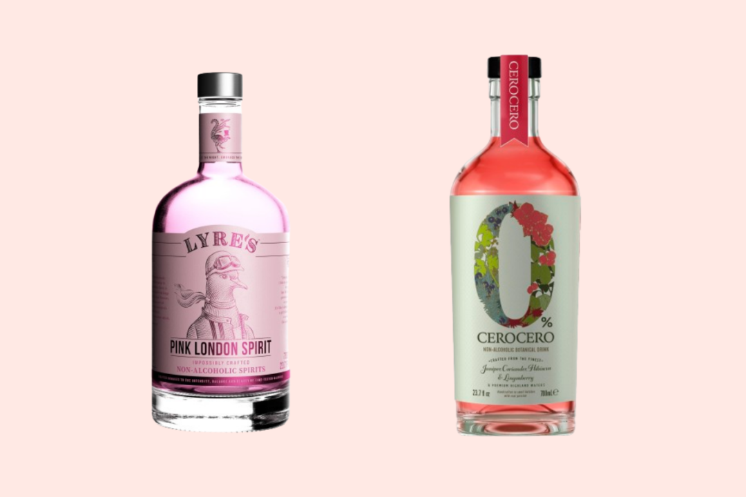 The Best Non-Alcoholic Gins in 2024 | Reviews & Top Picks