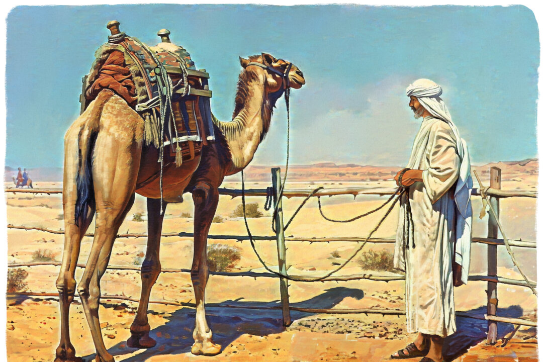 ‘Trust in God, But Tie Up Your Camel’: A Proverb of Faith and ...