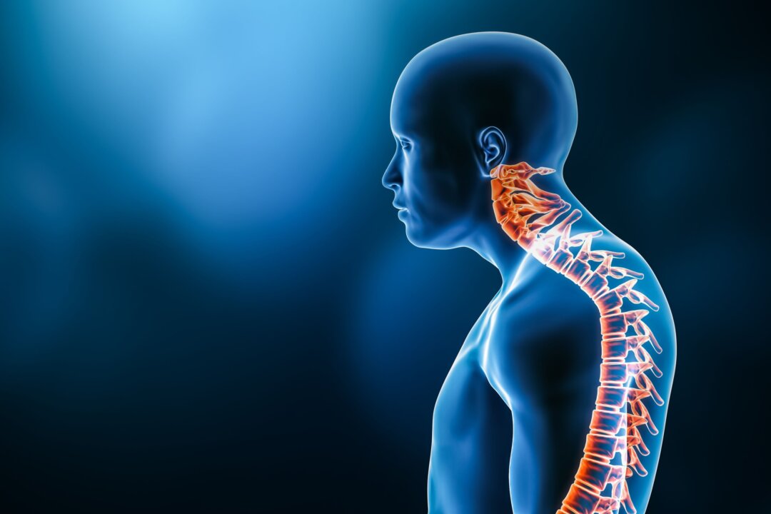 Australian National Review - 6 Easy Exercises to Reverse a Hunched Back