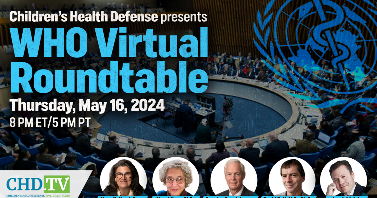 WHO Roundtable With Sen. Ron Johnson, Jan Jekielek, and Mary Holland ...