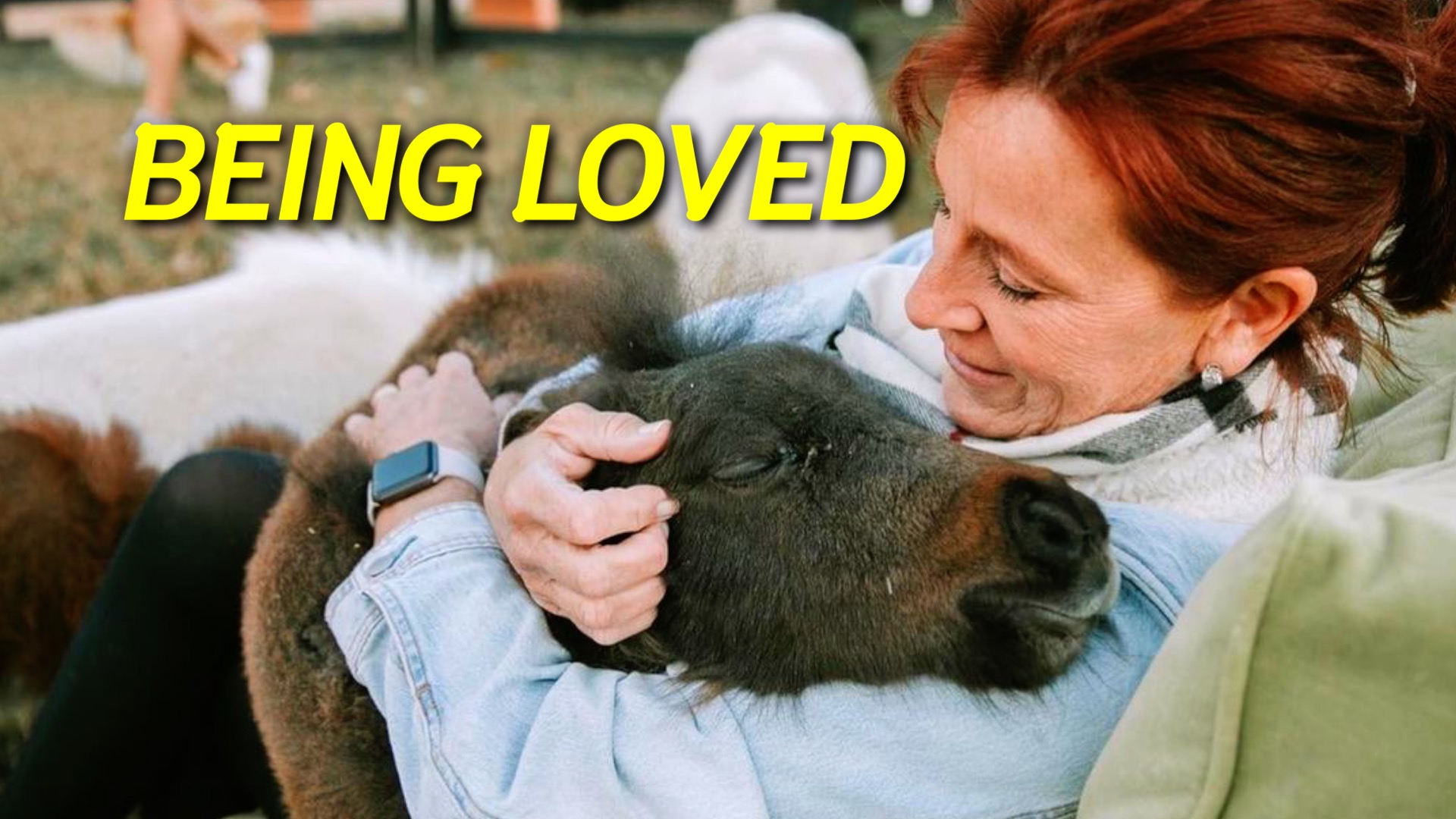 Mini Horse Had No Friends Due to Protective Mom, Forms the Cutest Bond ...