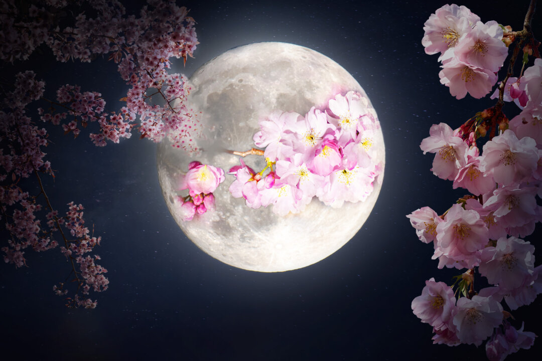 Full ‘Flower Moon’ in May to Shine in the Springtime Sky—Here’s How It Got Its Rosy Name | The ...