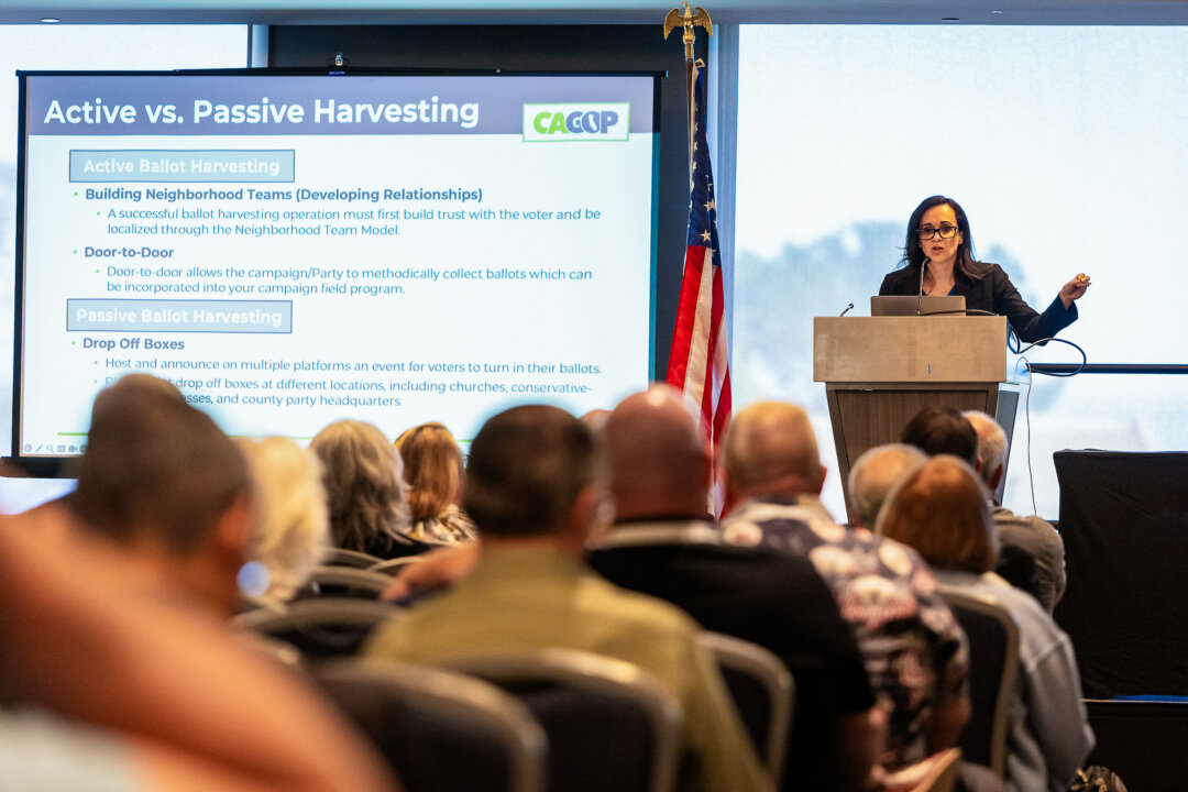 Republicans Highlight Early Voting, Ballot Harvesting, and Drop Boxes ...