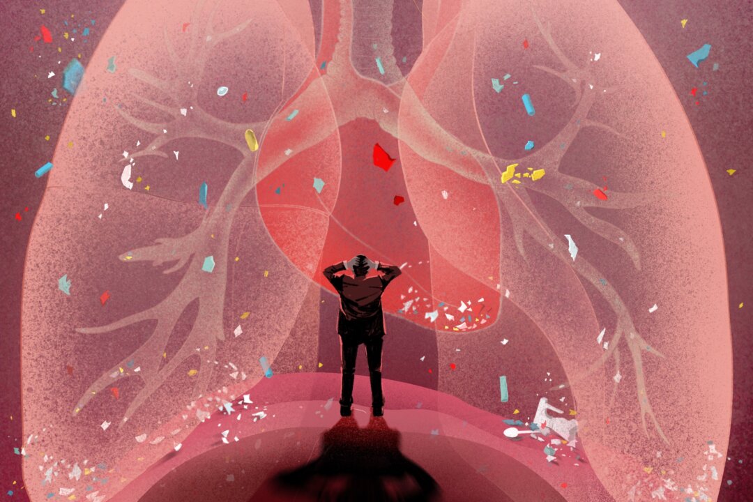 Australian National Review - Can the UN Keep DNA-Sized Plastics From ...