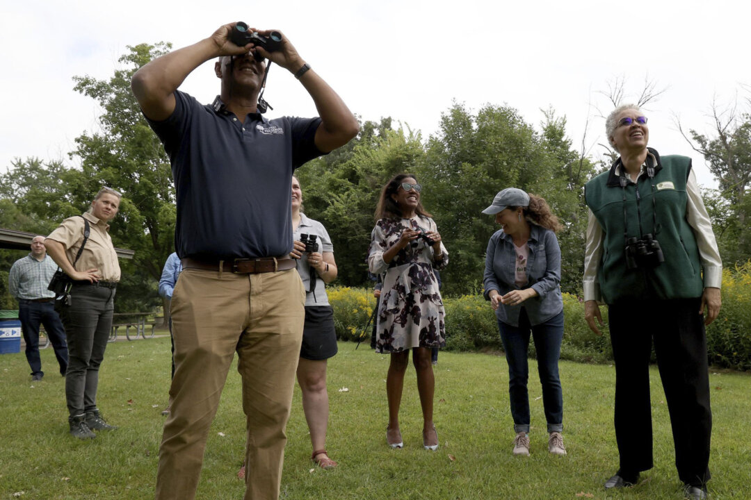 Tips for Planning Your Own Birding Trip | The Epoch Times