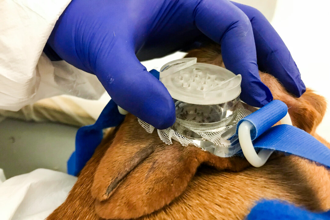 Watchdog Group Spotlights DoD’s Funding of Close to $1 Million on ...