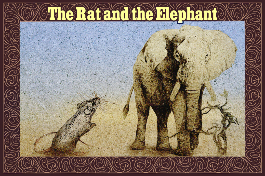 Proud Mouse Jealous of Royal Elephant Insults Him With Hateful Slurs ...