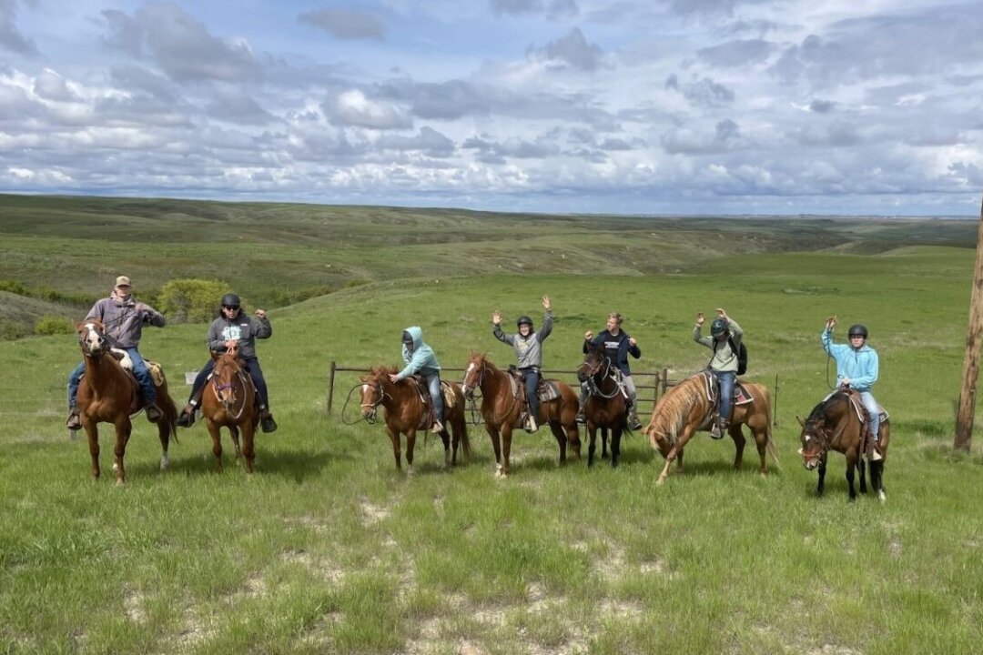 Surrounded by Miles of Pastures, a Unique School Helps Teens Rebuild ...