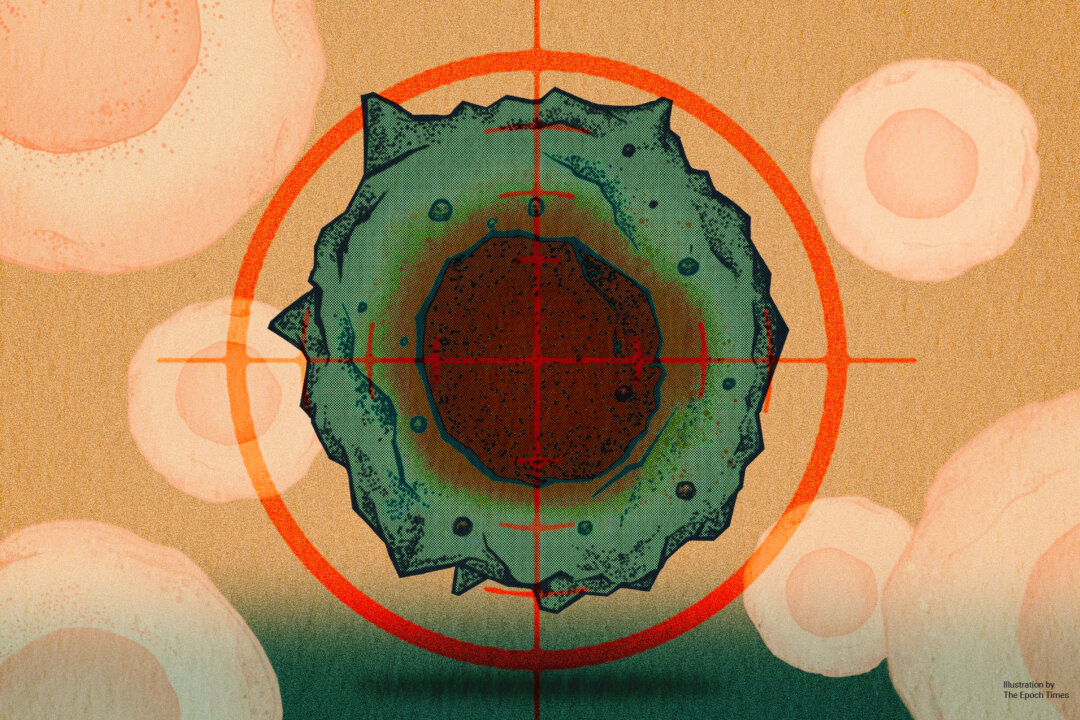 Australian National Review - Reducing Zombie Cells Can Keep Us Younger