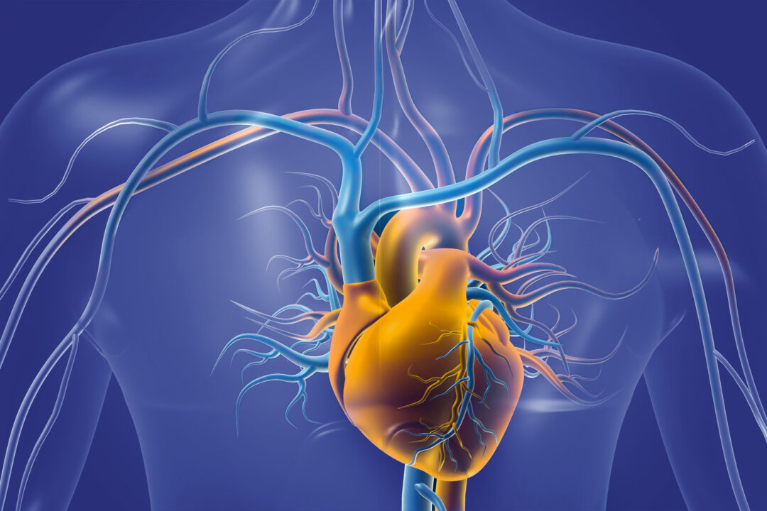 6 Exercises to Help Control High Blood Pressure | The Epoch Times