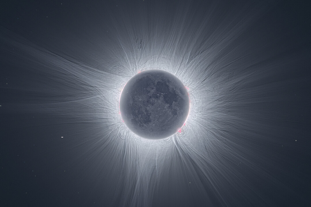 Man Flies From Portugal to Texas to Photograph Sun’s Iconic Aura During ...